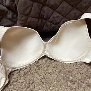 Anita | Intimates & Sleepwear | Anita Rosa Faia Full Cup Spacer Bra 32g ...